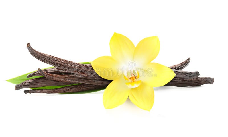 Vietnamese Dolls with Babies, Isolated on White Stock Photo - Image of ...