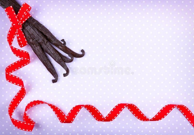 Vanilla pods red ribbon stock image. Image of bundle - 28512243