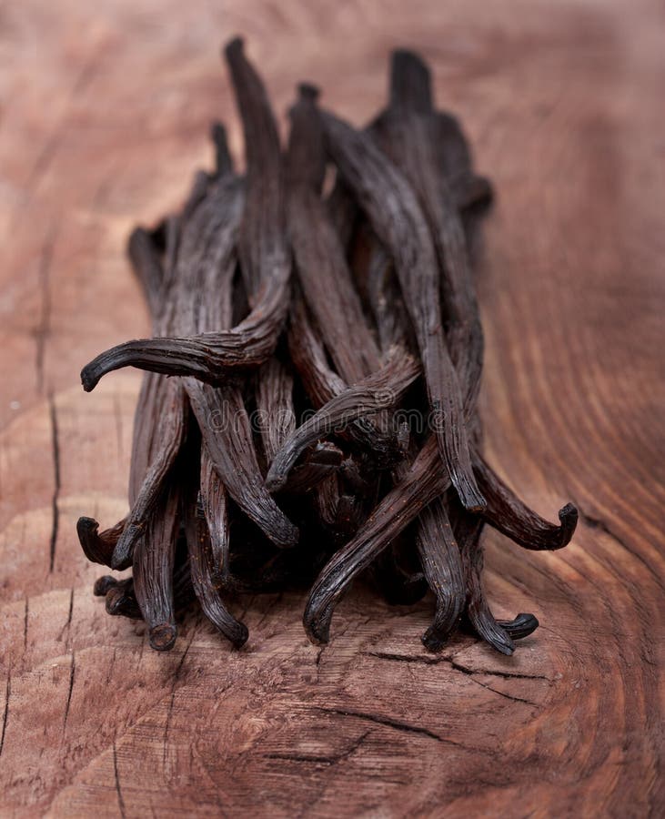 Vanilla Pods and Flower Isolated Stock Photo - Image of seasoning ...