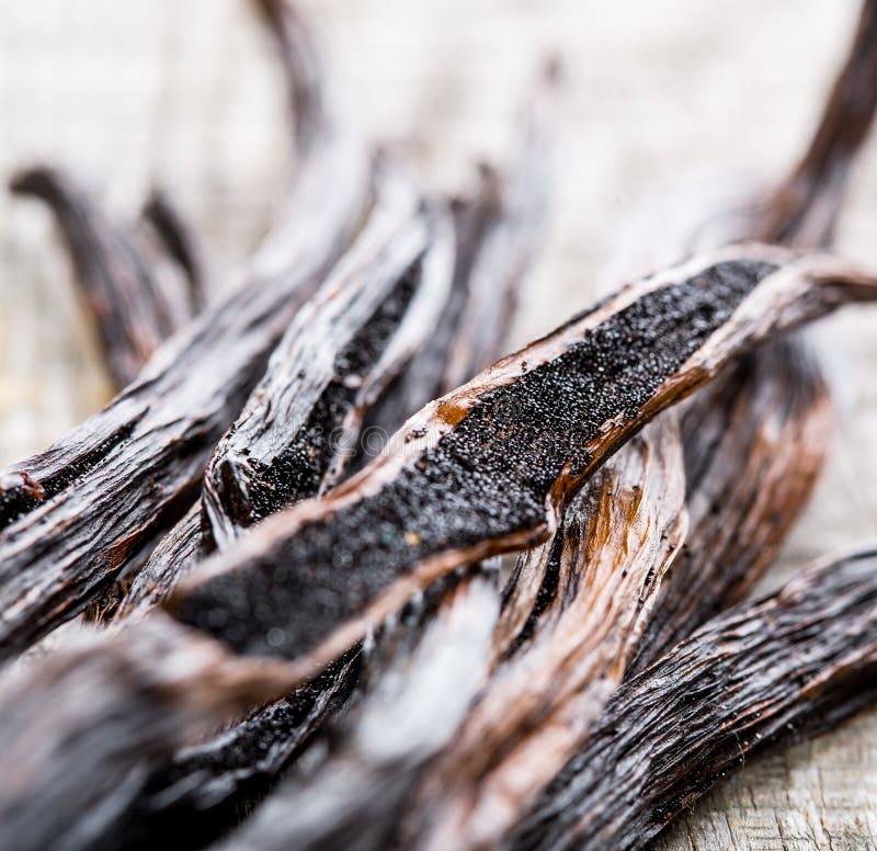 Vanilla pods stock photo. Image of cooking, black, taste - 49519708