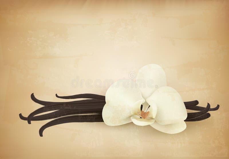 Vanilla Border Stock Illustrations – 1,615 Vanilla Border Stock ...