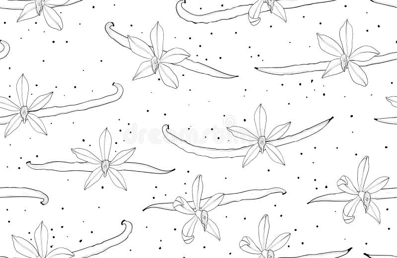 Vanilla Seamless Pattern. Flower and Pod Stock Vector - Illustration of ...
