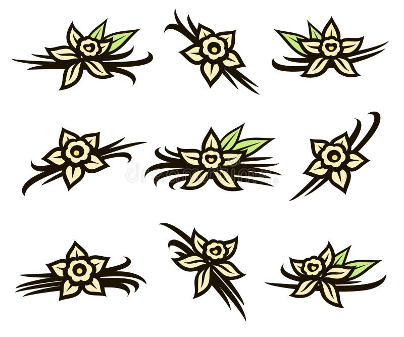 Vanilla Set. Collection Icon Vanilla Stock Vector - Illustration of ...