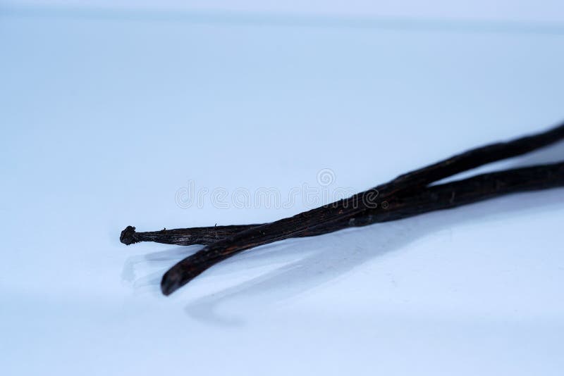 Vanilla is a Spice that Comes Stock Image - Image of fruit, fragrant ...