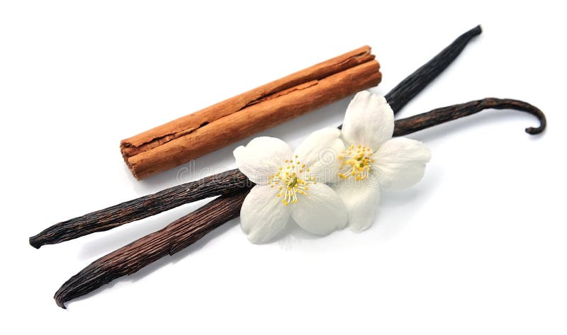 Vanilla Stick and Cinnamon Sticks. Stock Photo - Image of nature, plant ...