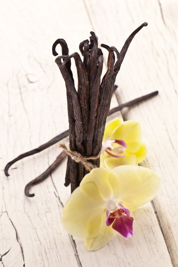 Vanilla Sticks with a Flower. Stock Image - Image of bean, flower: 35950857