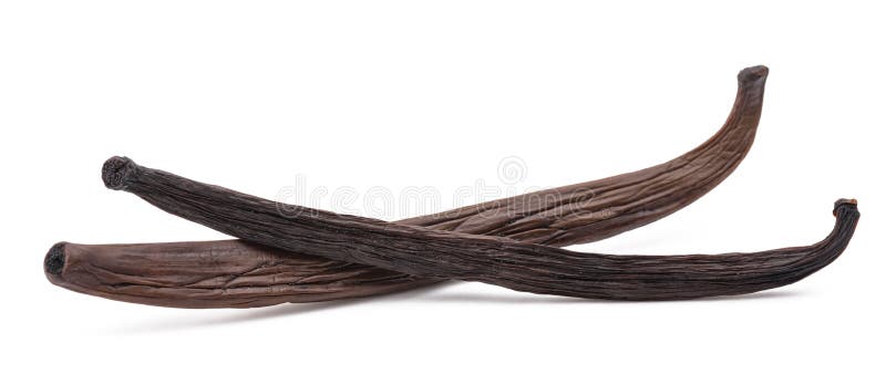 Planifolia Stick Stock Photos - Free & Royalty-Free Stock Photos from ...