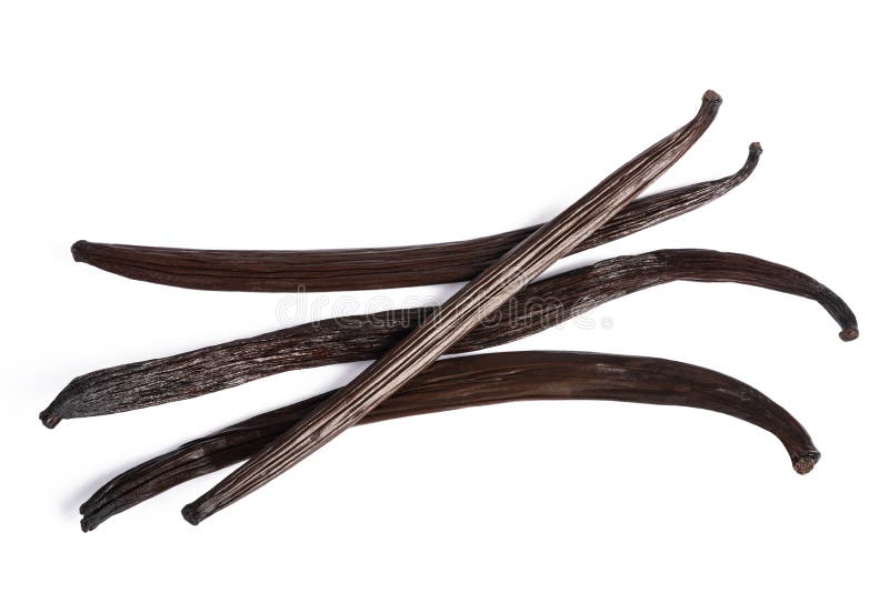 Vanilla stick stock image. Image of stick, beans, pods - 144273239