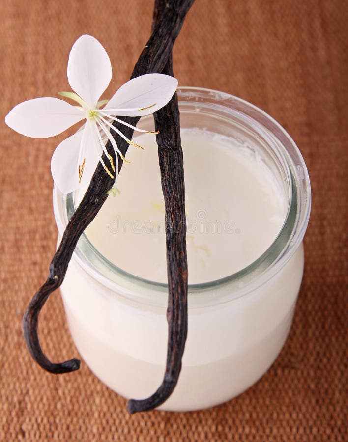 Vanilla yogurt stock image. Image of cream, dairy, yogurt - 20325945