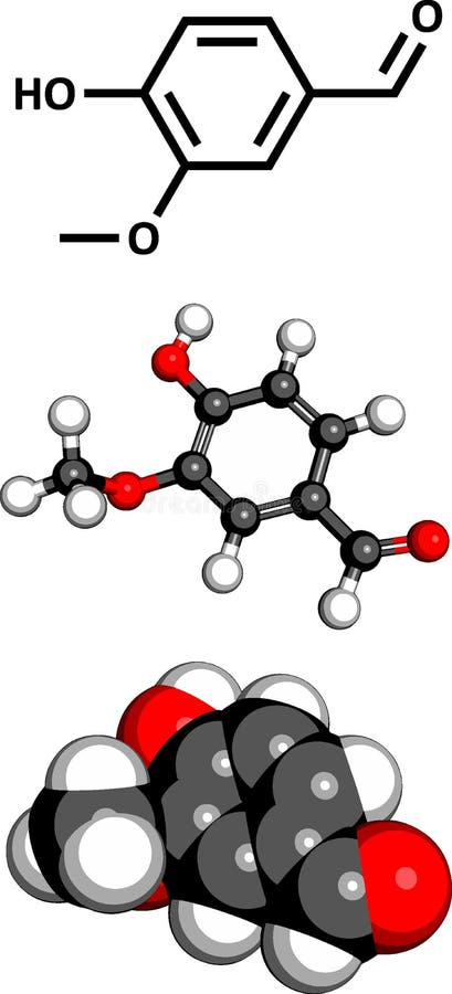 Vanillin Vanilla Extract Molecule, Chemical Structure Stock Vector ...