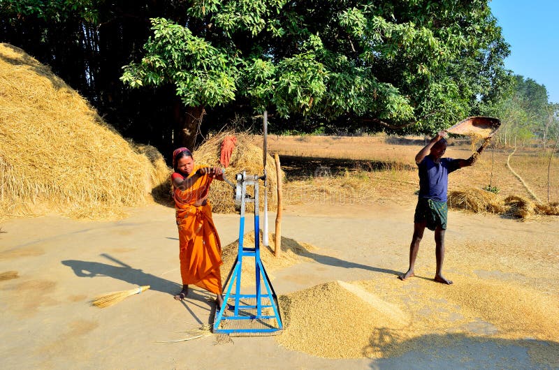 Vannage Agricole Dans L'Inde Image éditorial - Image du ventilateur ...