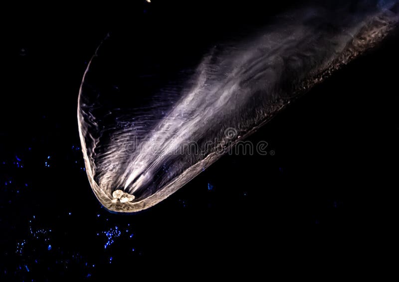 Vaporizing Dry Ice Crystal in Laboratory Simulating the Effect of a ...