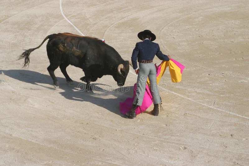 Vaqueras para siempre fotografía editorial. Imagen de bueno - 78371027