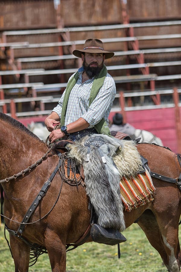 Vaquero a Caballo En Arena Del Rodeo Imagen de archivo editorial ...