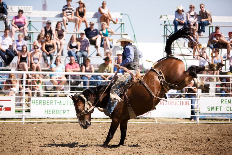 Vaquero del rodeo foto editorial. Imagen de habilidad - 4258306