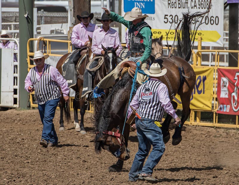 Vaquero Del Rodeo En Mal Rato De a Fotografía editorial - Imagen de ...