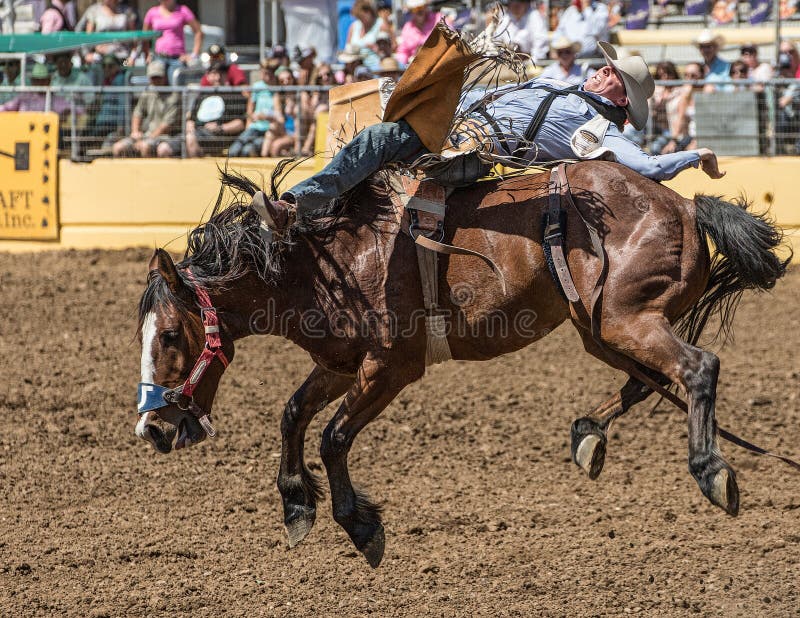 Vaquero Del Rodeo Que Monta Un Toro Fotografía editorial - Imagen de ...