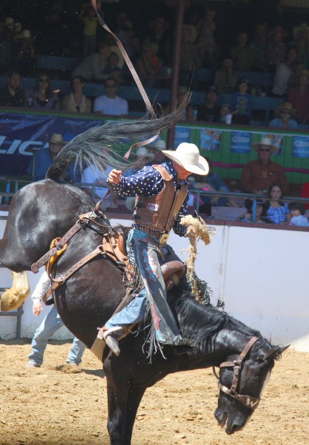 Rodeo, Santa Barbara, CA fotografía editorial. Imagen de acontecimiento ...