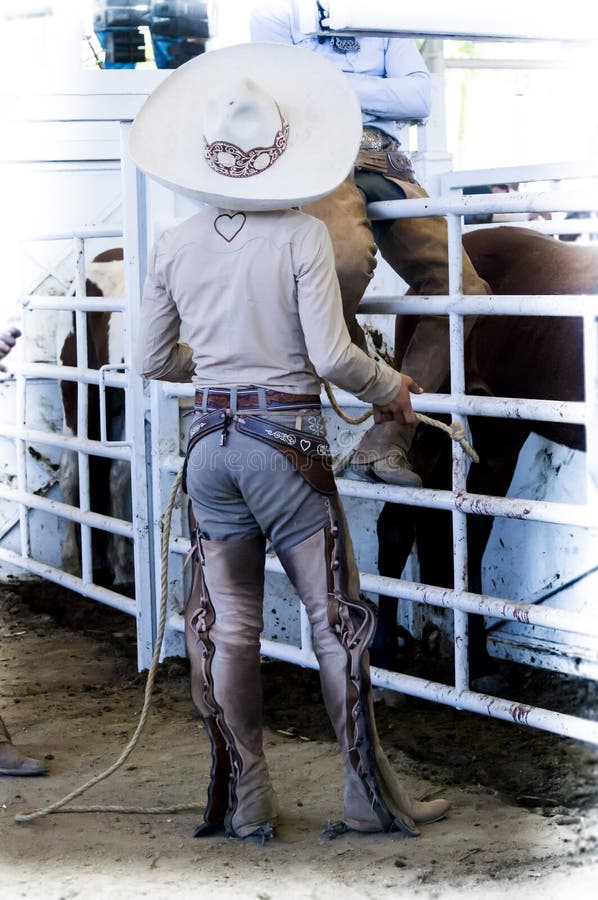 El Vaquero Mexicano Con Los Hes Del Toro Luchó Al Groun Fotografía ...
