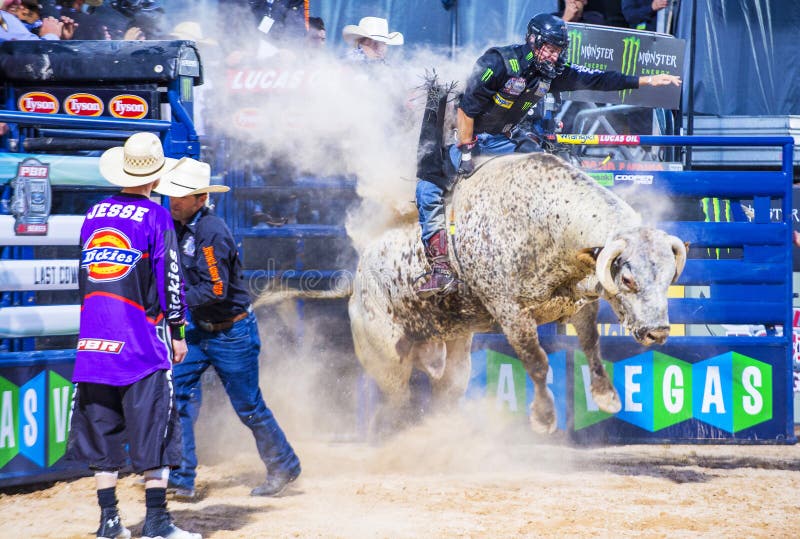 Vaquero pasado Standing imagen de archivo editorial. Imagen de toro ...