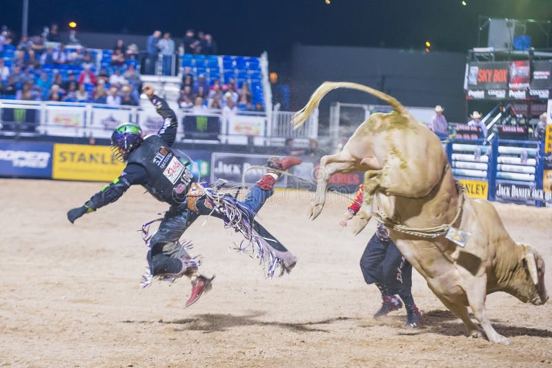 Vaquero pasado Standing imagen de archivo editorial. Imagen de dakota ...