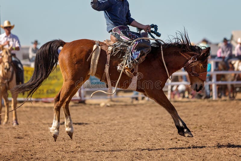 Vaquero Riding Bucking Horse Foto editorial - Imagen de suciedad ...