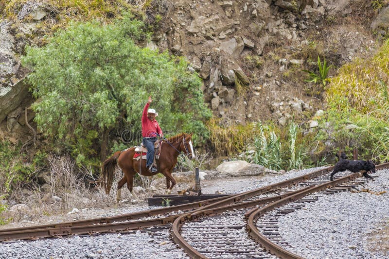 Vaquero Riding Horse foto de archivo editorial. Imagen de manos - 73192548