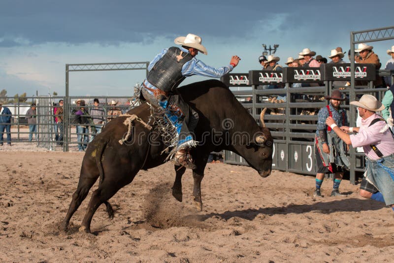 Vaquero Rodeo Bull Riding imagen editorial. Imagen de reventar - 63799295