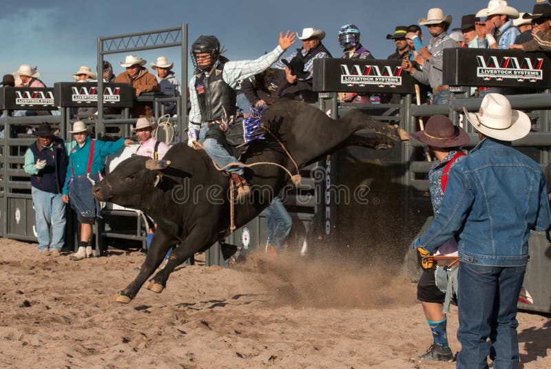 Vaquero Rodeo Bull Riding imagen editorial. Imagen de frontera - 63799315