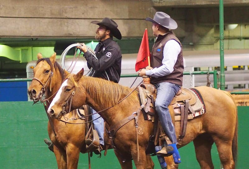 Becerro roped imagen de archivo. Imagen de rodadura, ecuestre - 903997