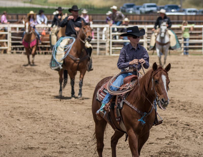 Vaqueros en el rodeo imagen de archivo editorial. Imagen de sombreros ...