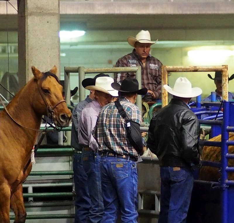 Vaqueros En Sombreros En El Rodeo Imagen editorial - Imagen de ...