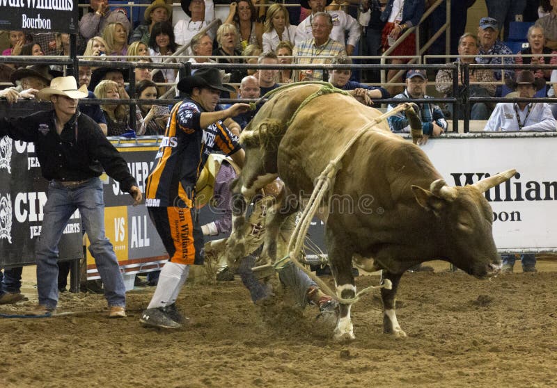Vaqueros Del Jinete Del Toro Del Rodeo Foto editorial - Imagen de ...