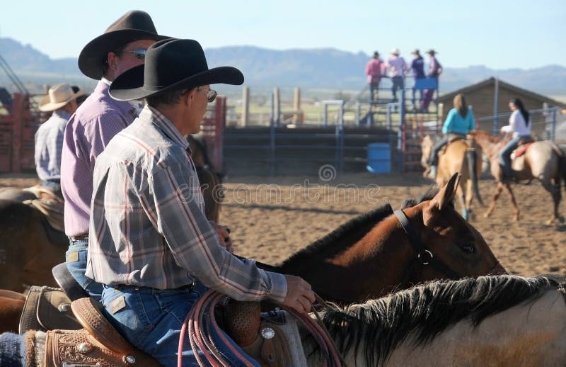 Vaqueros en caballos foto de archivo editorial. Imagen de arena - 29291698