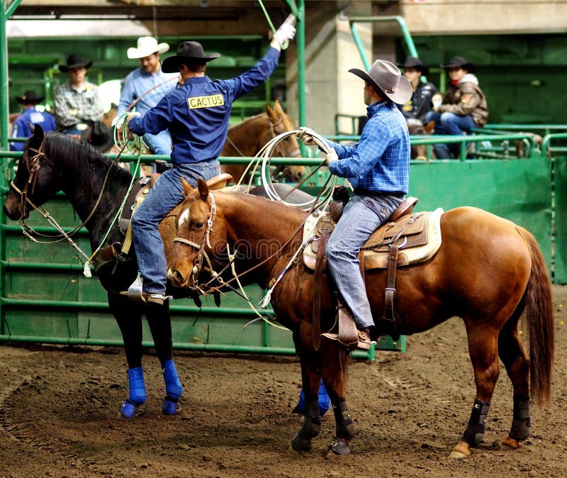 Los Vaqueros Pusieron Las Sillas De Montar En El Caballo Que Se ...