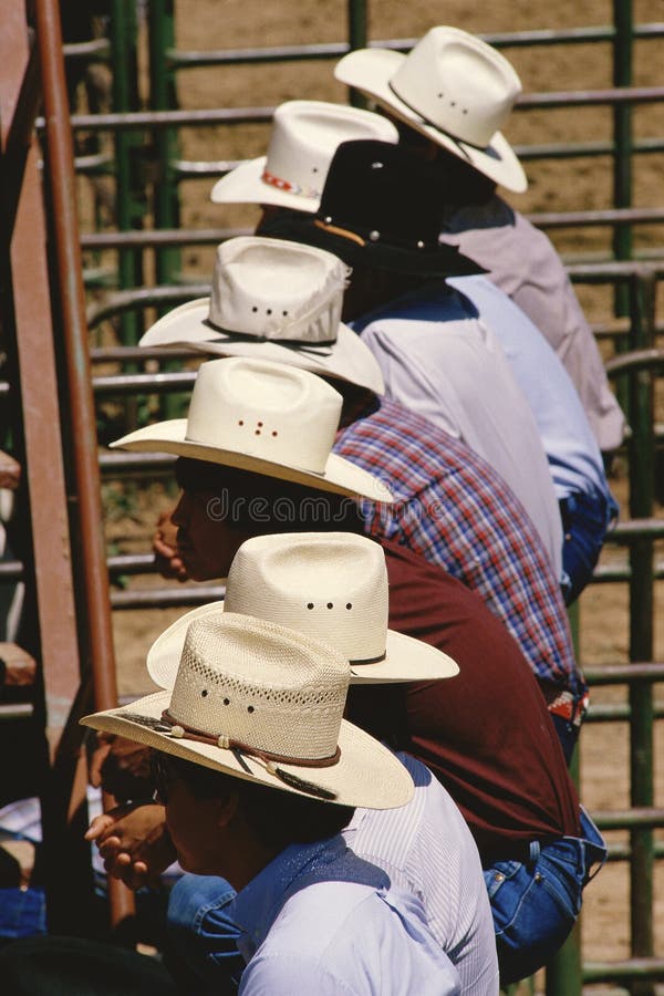 Vaqueros En Sombreros En El Rodeo Imagen editorial - Imagen de ...
