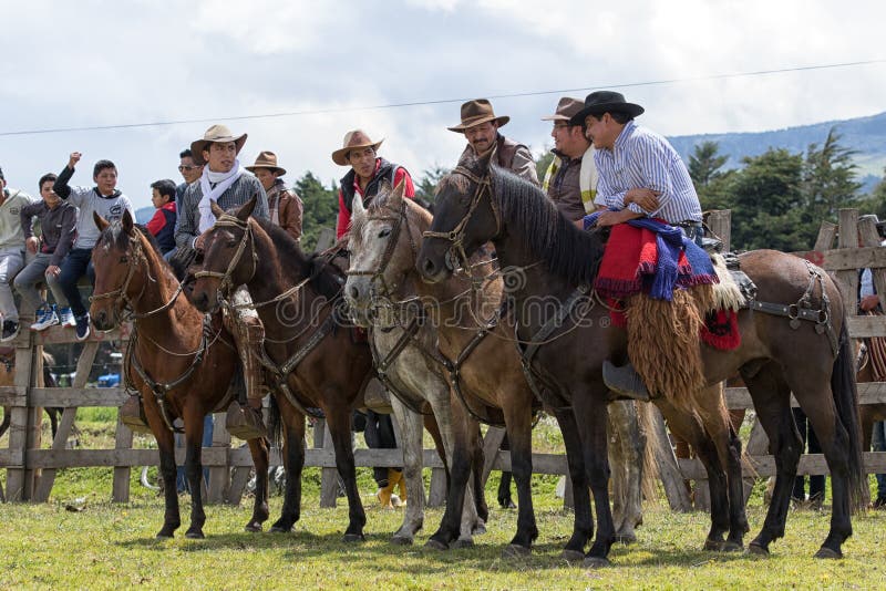 Vaqueros En Un Evento Rural Del Rodeo En Ecuador Imagen de archivo ...