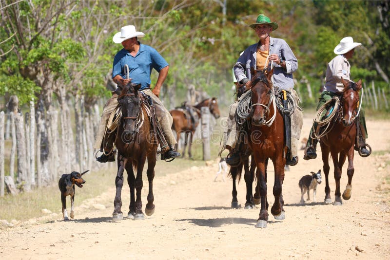 Vaqueros y sus caballos foto editorial. Imagen de estable - 17864496