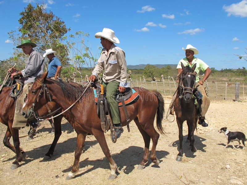 Vaqueros Y Un Perro En Un Camino De Tierra Imagen editorial - Imagen de ...