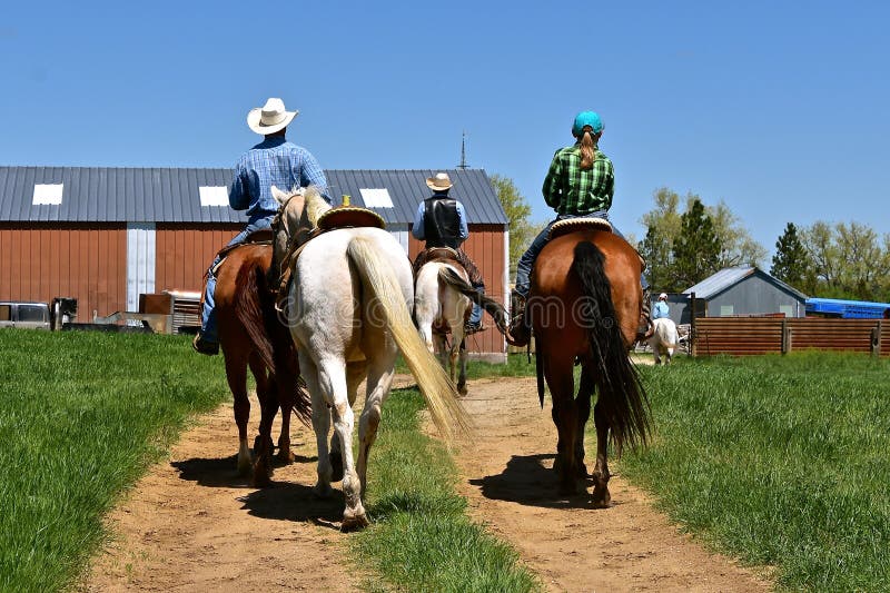 Vaqueros a caballo foto de archivo. Imagen de occidental - 5306646