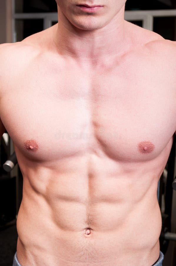 Torso Masculino Perfecto Con Los Músculos Definidos Del Pecho ...
