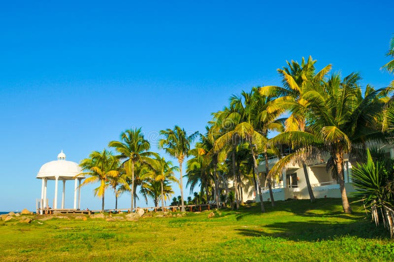 Mening Van Het Cubaanse Landschap, Cuba, Havana Exemplaarruimte Voor ...