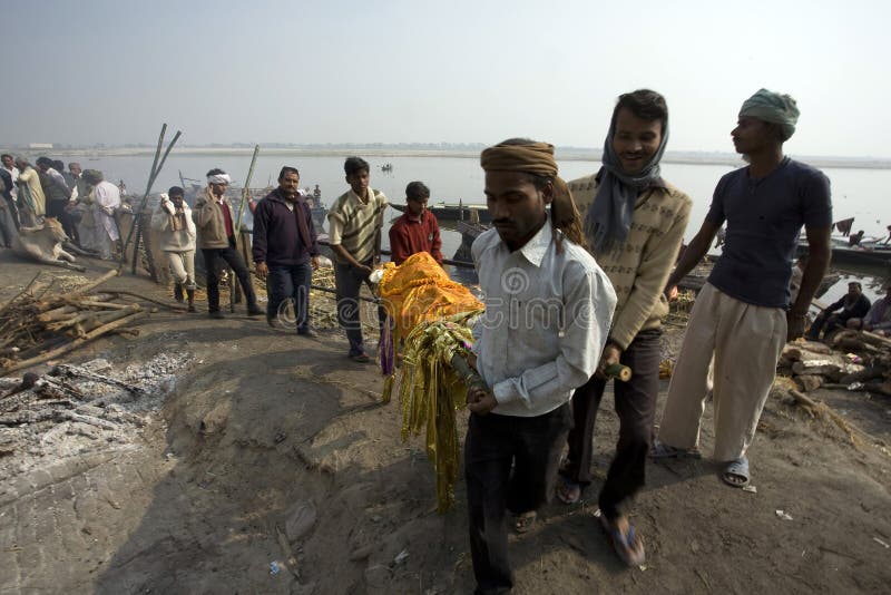 1,188 Pictures Cadaver Stock Photos - Free & Royalty-Free Stock Photos ...