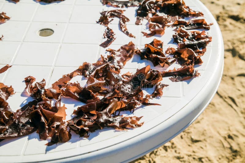 Varech Vert Sec, Aonori, Nourriture Japonaise Photo stock - Image du ...