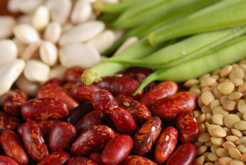 Vari tipi di fagioli fotografia stock. Immagine di verdura - 6111768