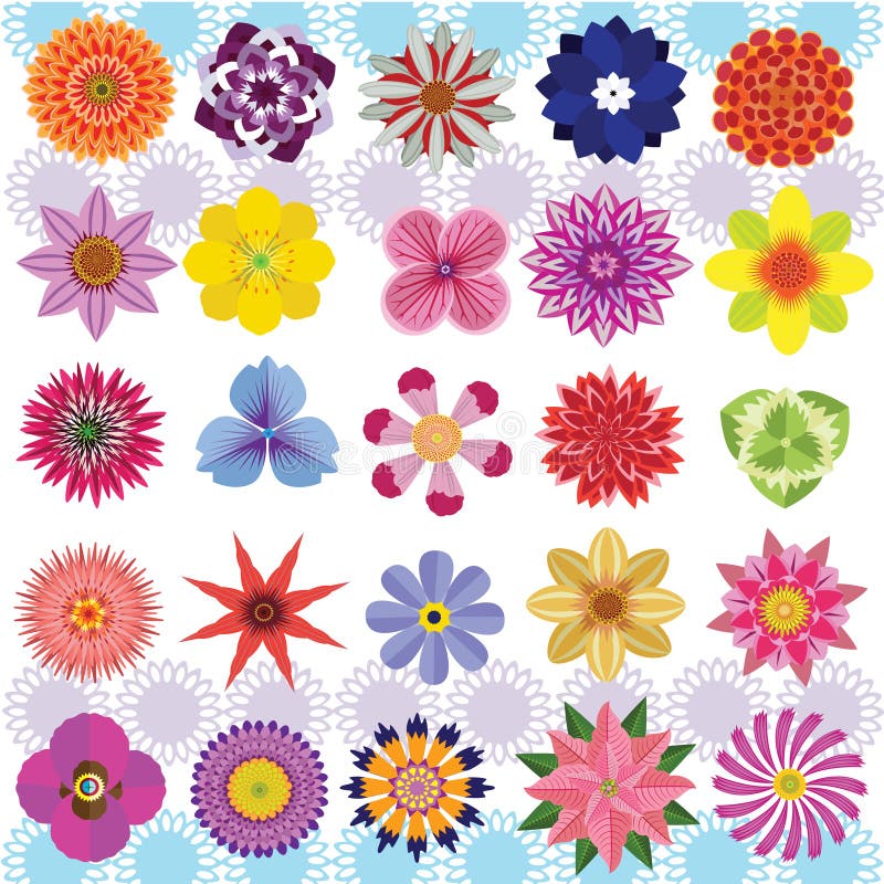 Varias flores stock de ilustración. Ilustración de crisantemos - 53890337