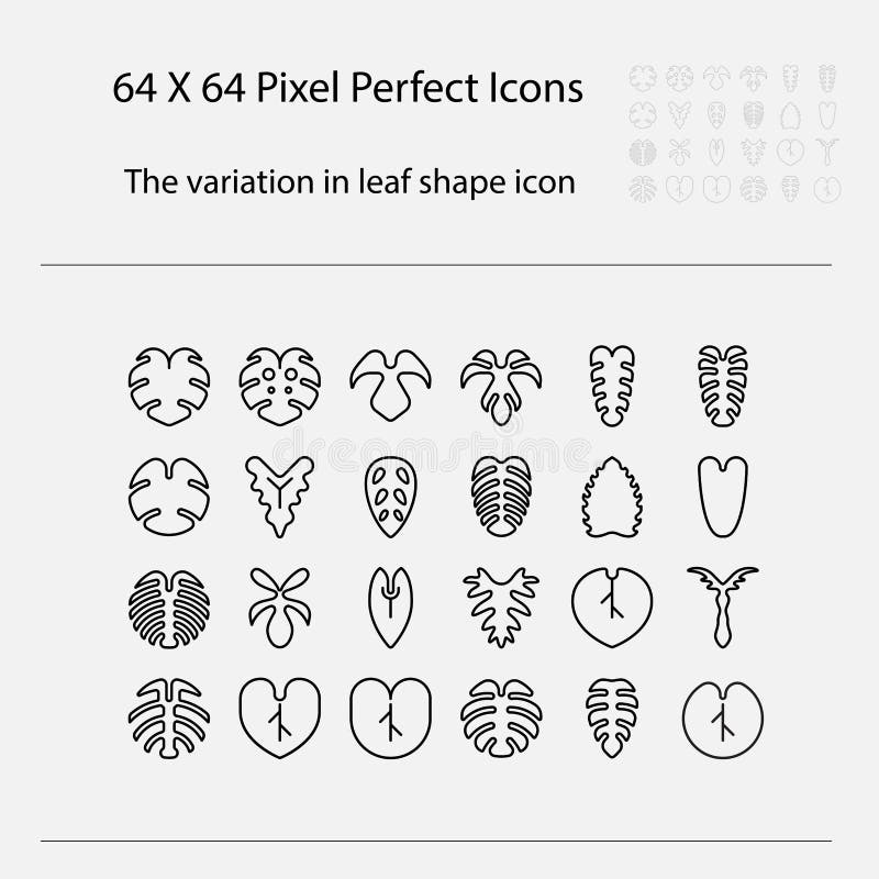 The Variation of Leaf Shape Icon. Variation of Leaves Vector Outline ...