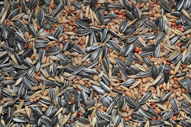 Wild Bird Seed mix stock photo. Image of healthy, millet - 111881146