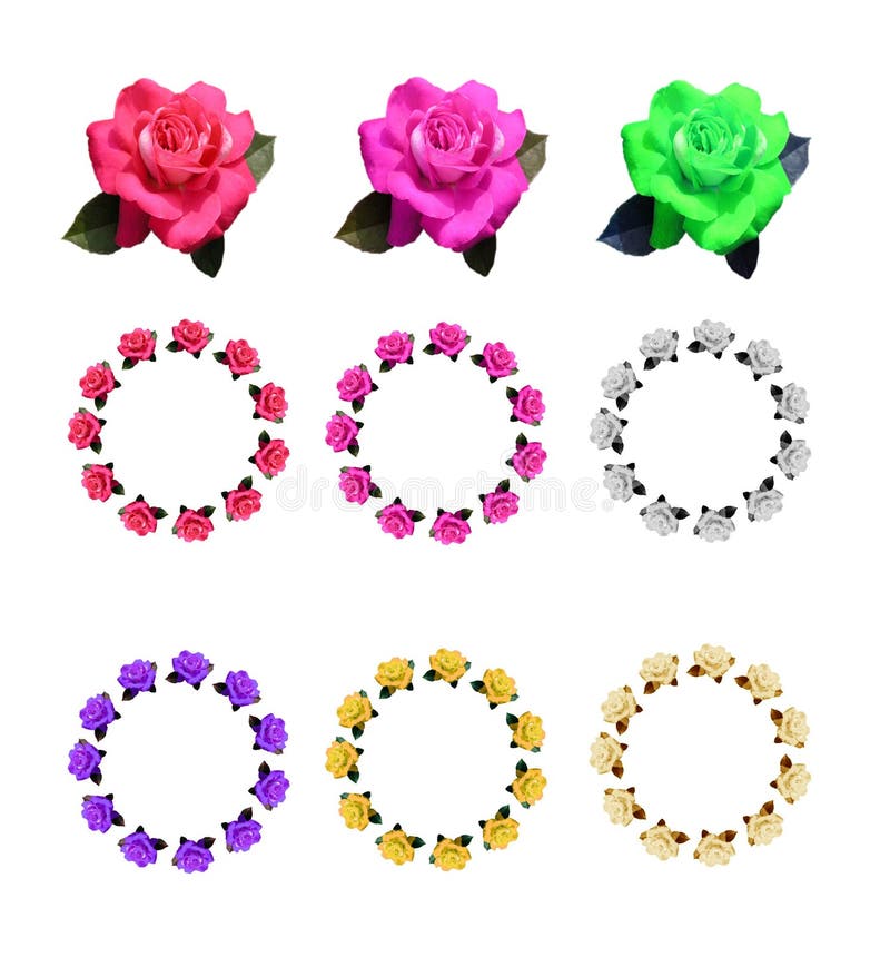 Variation of Rose Frame Circles Stock Illustration - Illustration of ...