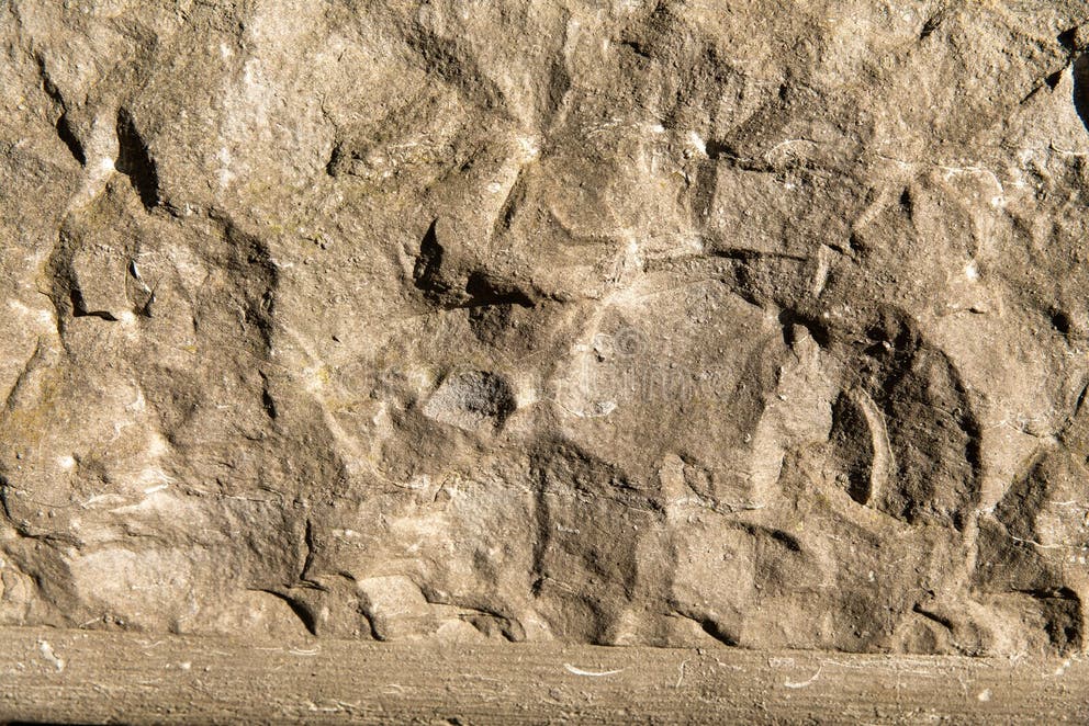 Variation of Sharp Abstract Texture Patterns Stock Photo - Image of ...